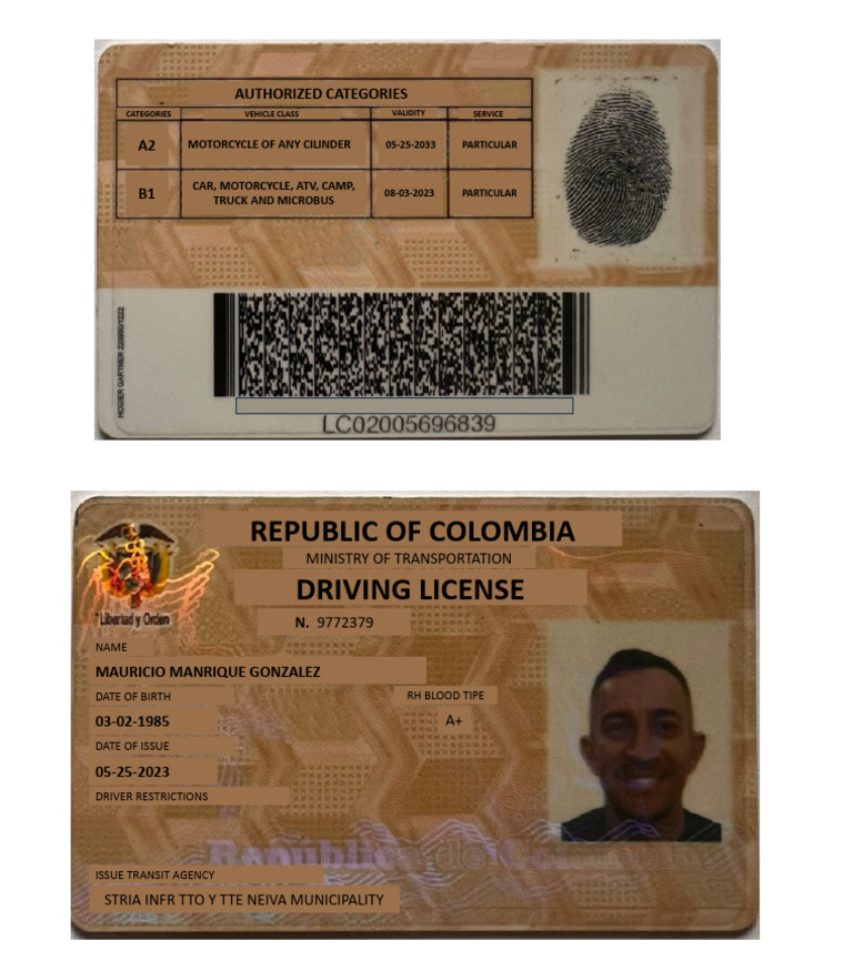 Formato Licencia Colombia | PDF