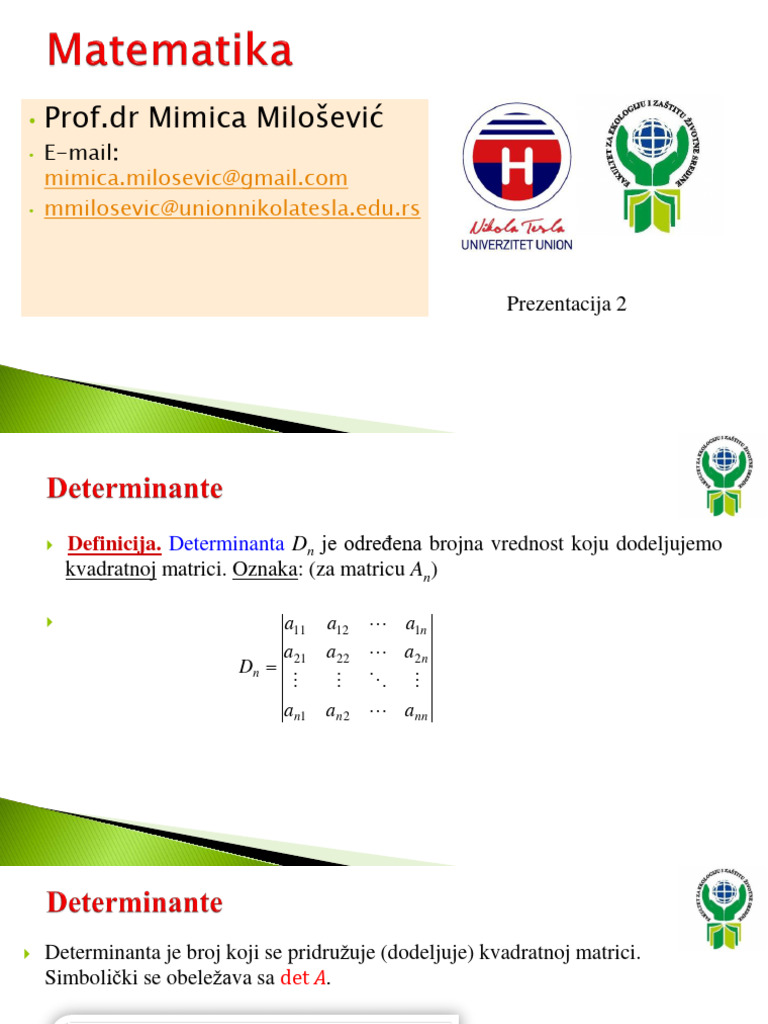 Matematica - Determinante I Matrice | PDF