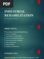 Individual Critical Task List | PDF | Mental Health | Occupational Therapy