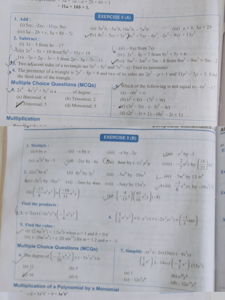 Algebraic Expressions and Identities | PDF