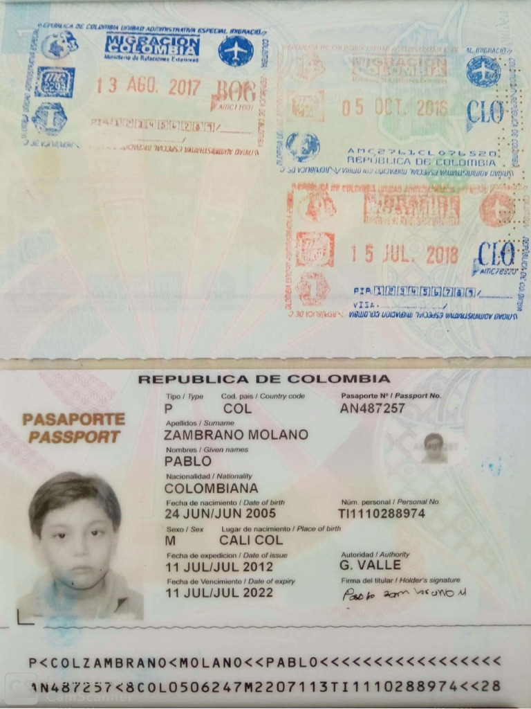 Pasaporte Pablo | PDF