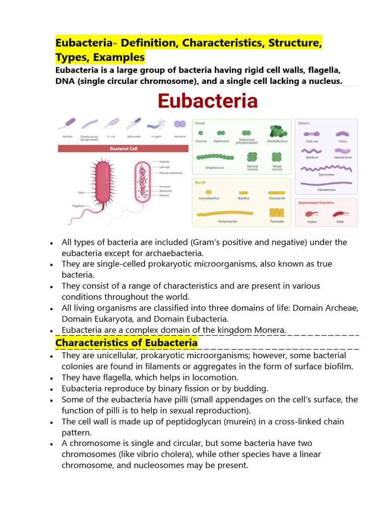 Eubacteria - Definition, Characteristics, Structure, Types, Examples ...