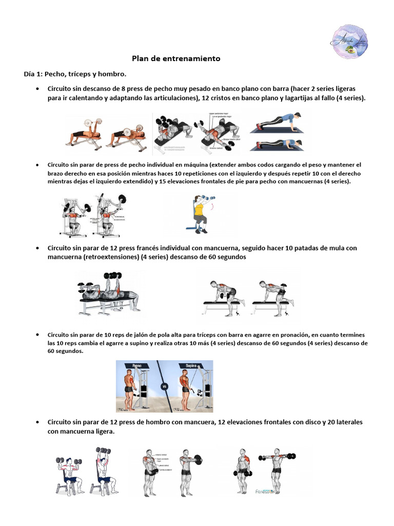 Plan de Entrenamiento Otb23m6d | Descargar gratis PDF | Entrenamiento con pesas