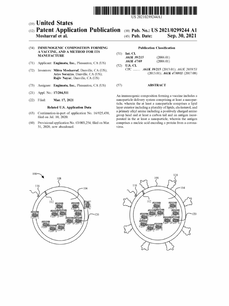 Mont IN: (12) Patent Application Publication (10) Pub - No .: US 2021/ ...