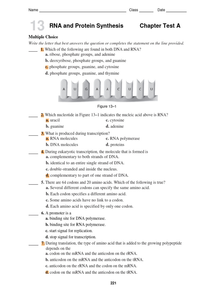 RNA & Protein Synthesis Quiz | PDF | Rna | Gene