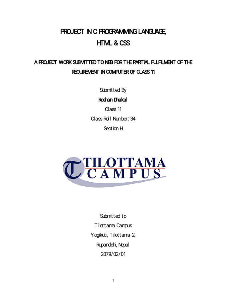 Computer Report Class 11 H Group B | PDF