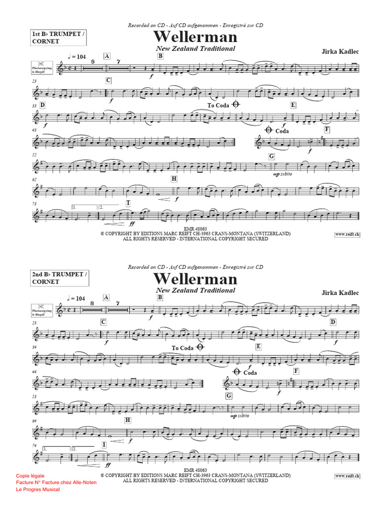 Wellerman | PDF | Freedom Of Expression Law | Copyright Law