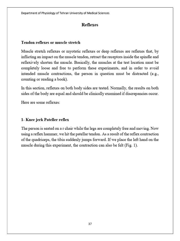 Reflexes | PDF | Musculoskeletal System | Nervous System