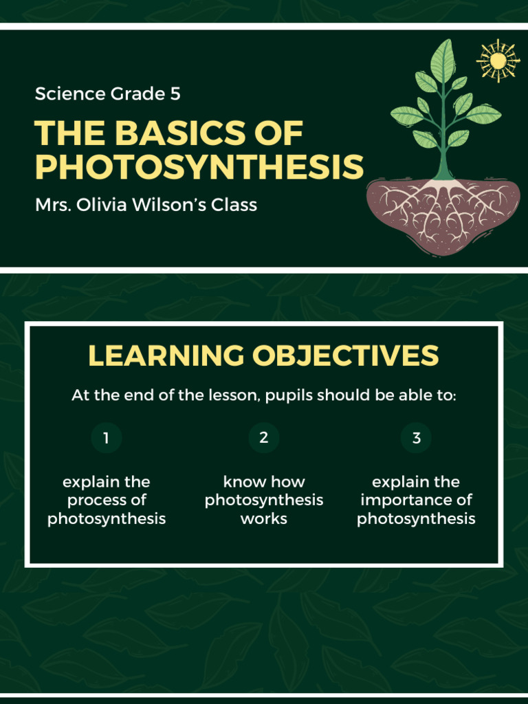 The Basics of Photosynthesis in Plants Educational Presentation in ...