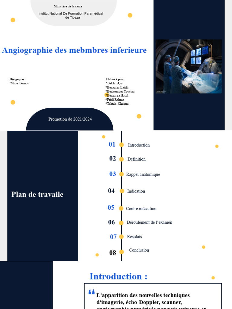 Angiographie des Membres Inférieurs | PDF | Angiographie | Médecine ...