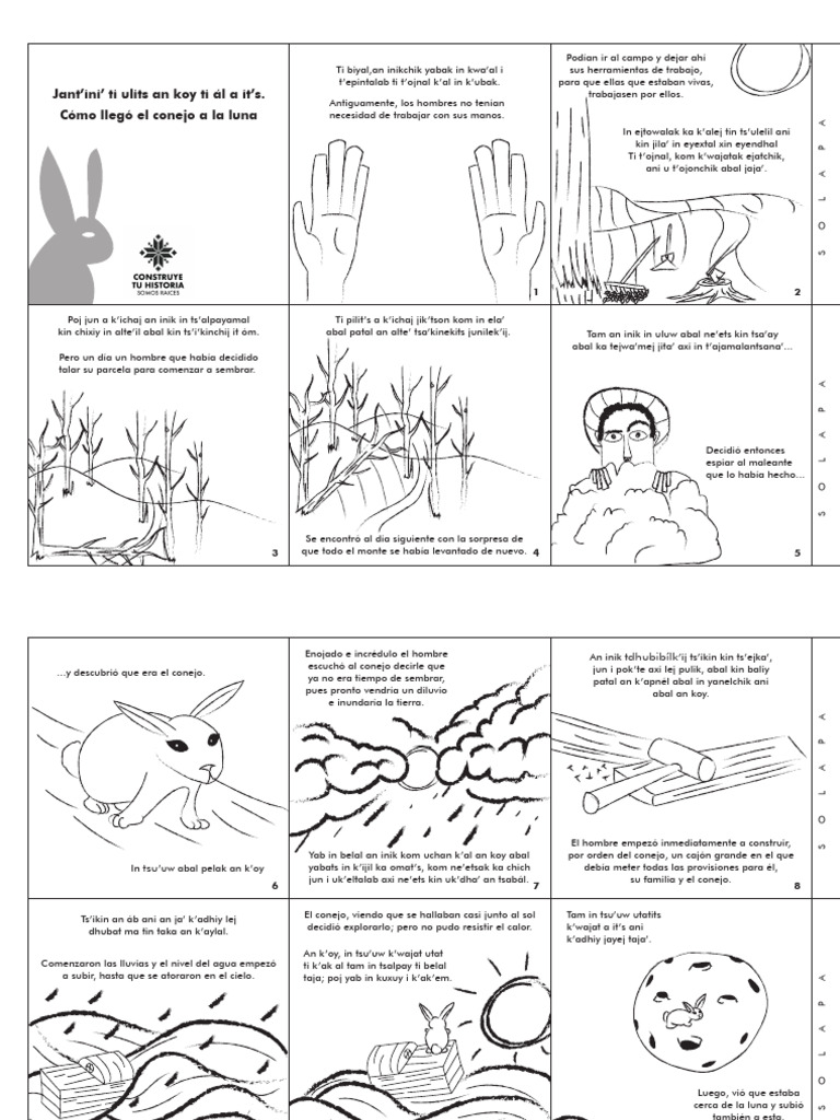 Como Llego El Conejo A La Luna | PDF