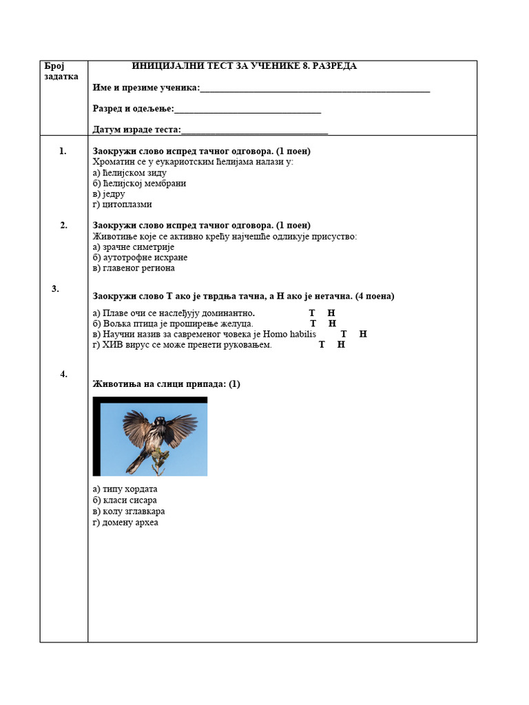Inicijalni 8 Razred | PDF