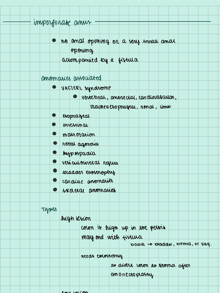 Imperforate Anus | PDF