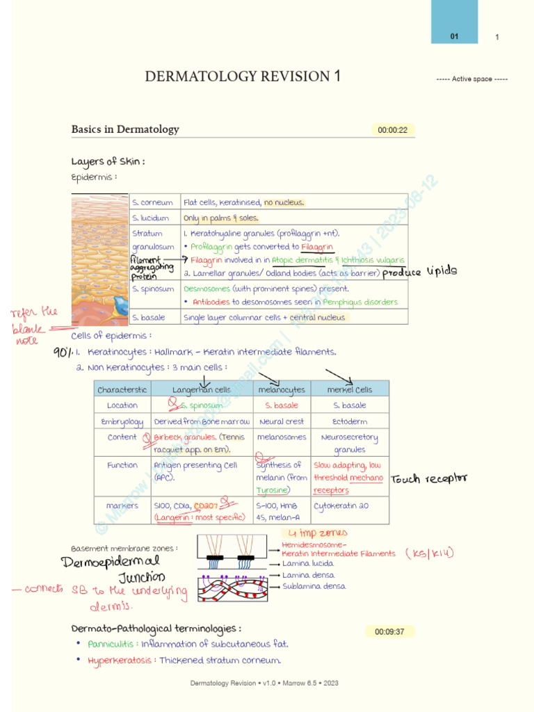 Dermatology Revision E6.5 @theboggusdoc | PDF | Dermatitis | Psoriasis