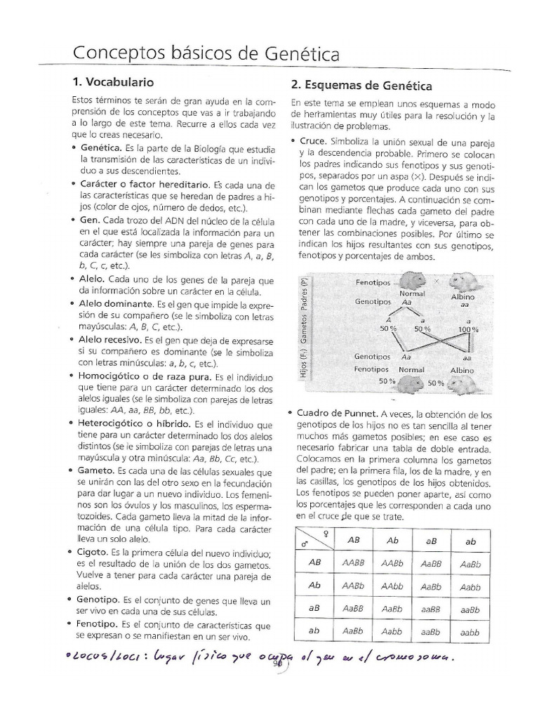 Conceptos Básicos de Genética | PDF