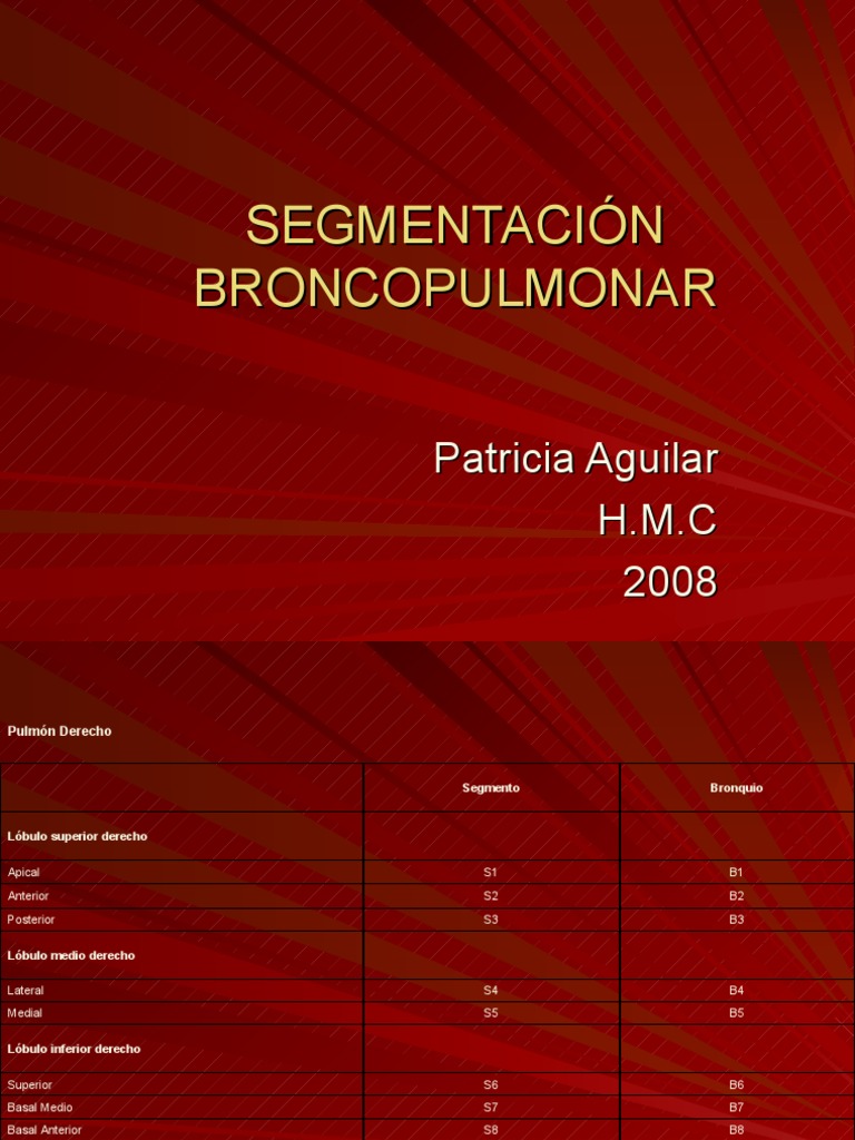 Segmentacion Broncopulmonar | PDF