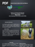 Ficha Tecnica Bullgrass 30.4 SL | PDF | Plantas | Botánica