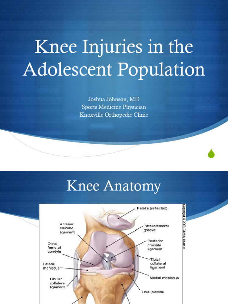 Knee Presentation | PDF