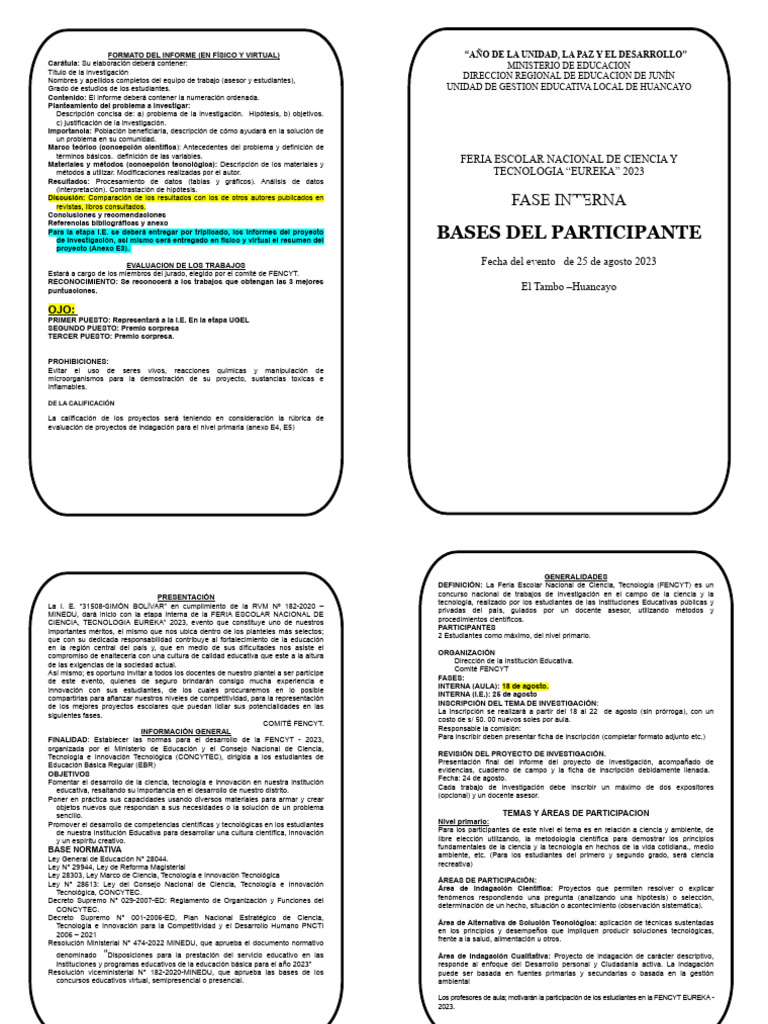 Bases de Fencyt Interna 2023 Correcciones | PDF | Investigación cuantitativa | Cognición