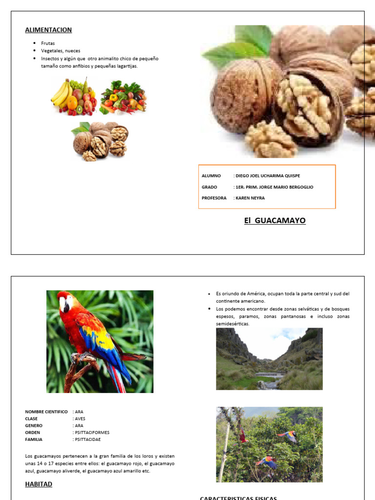 El GUACAMAYO | PDF