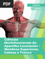 Aula 6 Ossos, Músculos, Inervação e Vascularização Do Punho e Mão | PDF ...