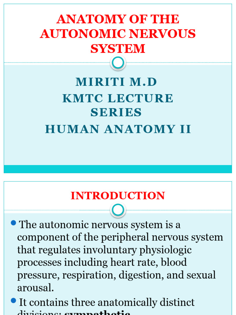 Anatomy for Medical Students | PDF | Autonomic Nervous System | Nervous ...