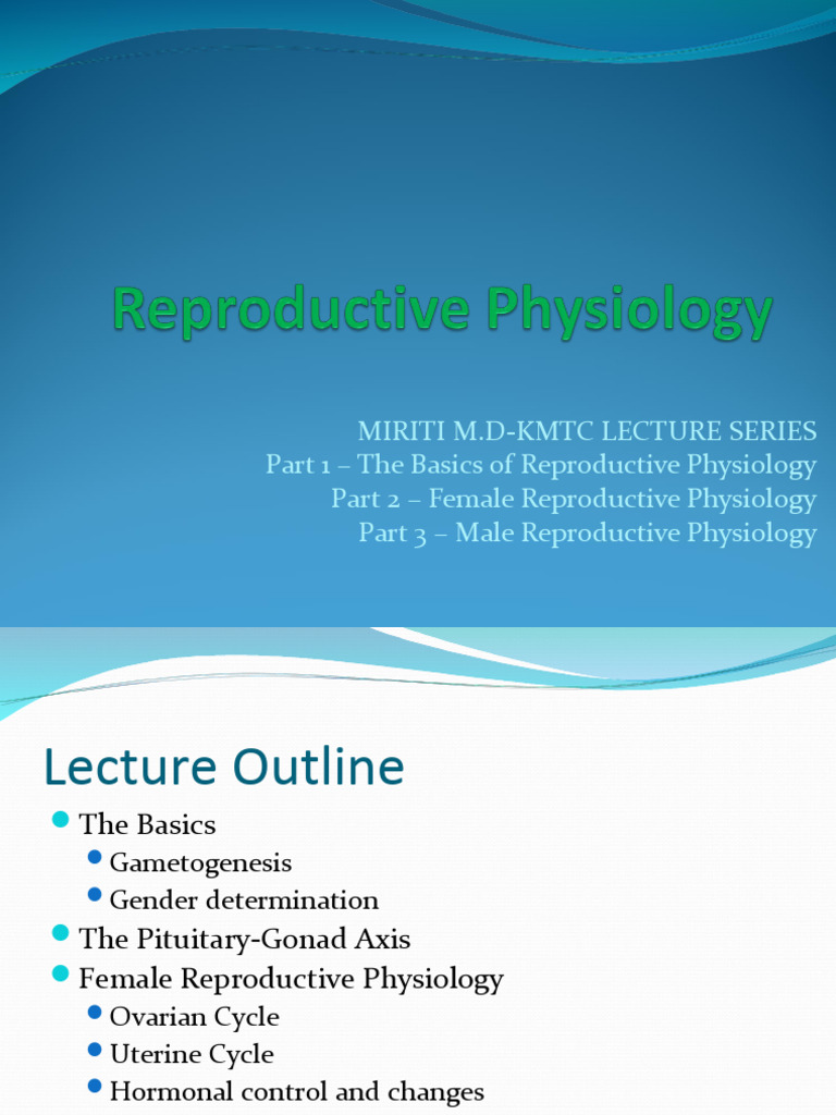 Reproductive Physiology | PDF | Menstrual Cycle | Ovary