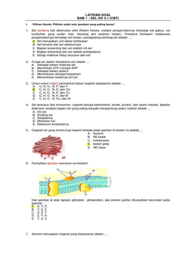 ##1 Latihan Soal Bab 1 SEL 2021 - E-Learning | PDF