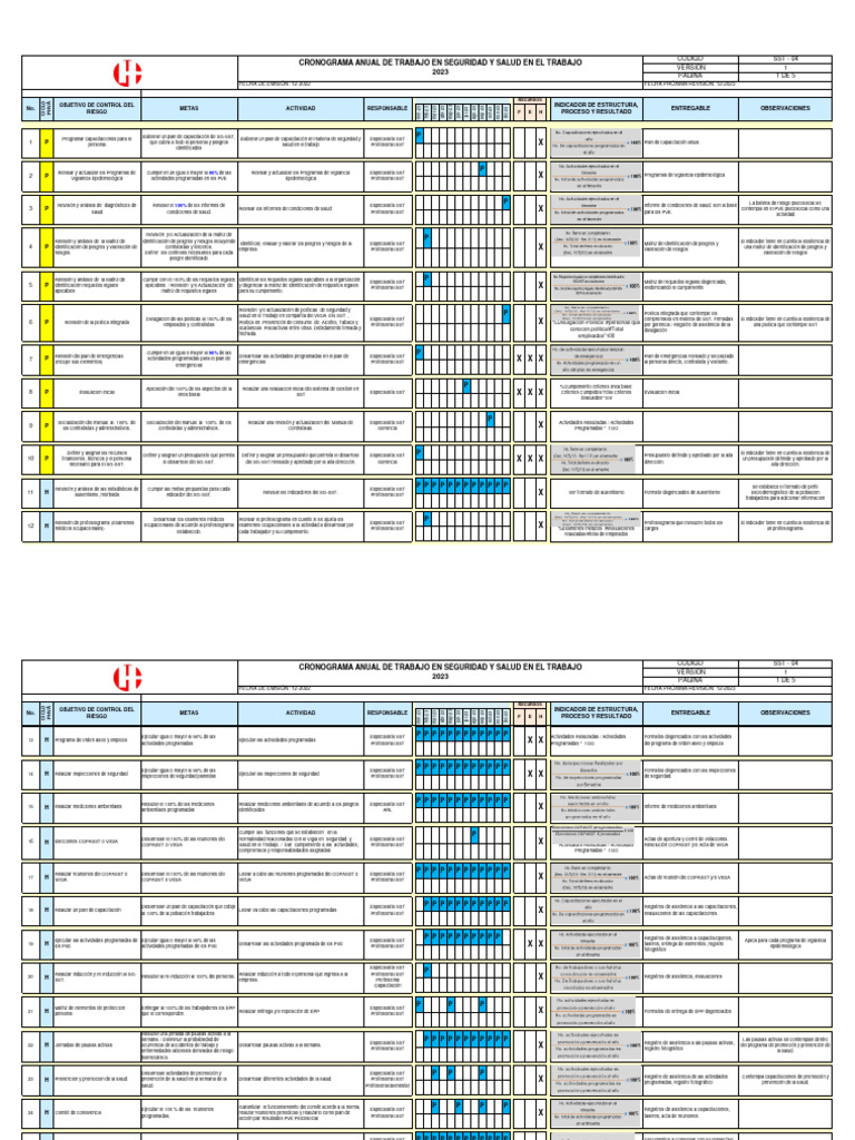PLAN DE TRABAJO ANUAL DE SST | PDF | Vigilancia | Presupuesto