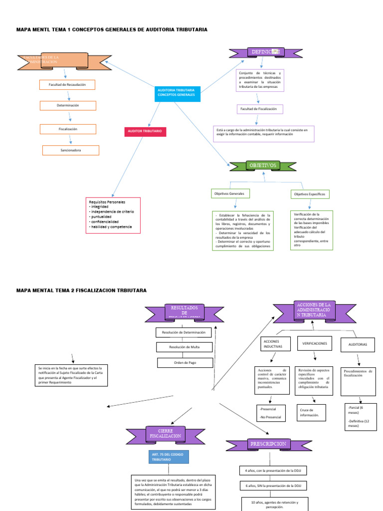MAPAS MENTAL | PDF | Auditoría | Justicia
