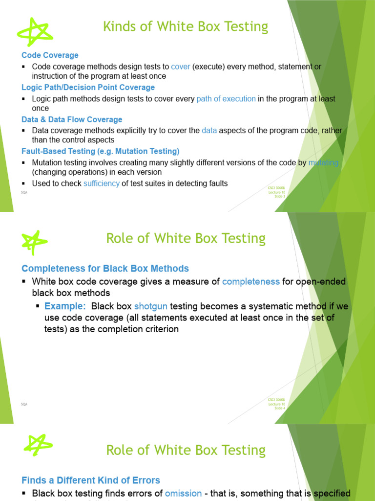 Lect 9 White Box | PDF | Applied Mathematics | Software Development