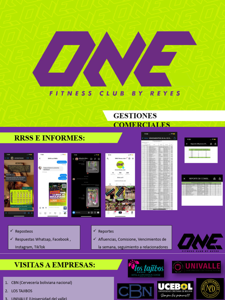 Informe - Gestiones Comerciales | PDF