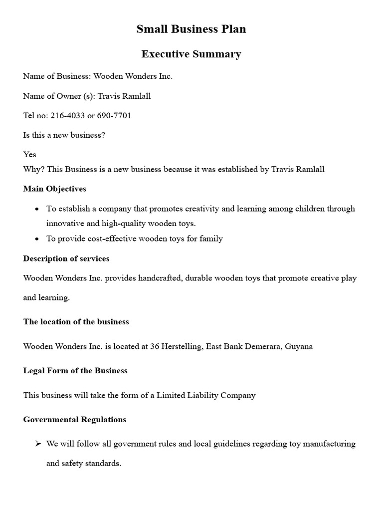 Small Business Plan | PDF | Toys | Business