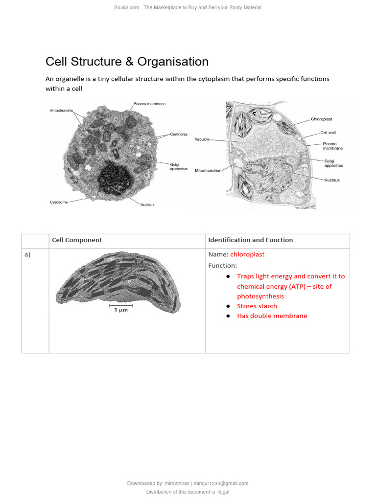 AP Bio Notes Full | PDF | Hydrolysis | Cell Membrane