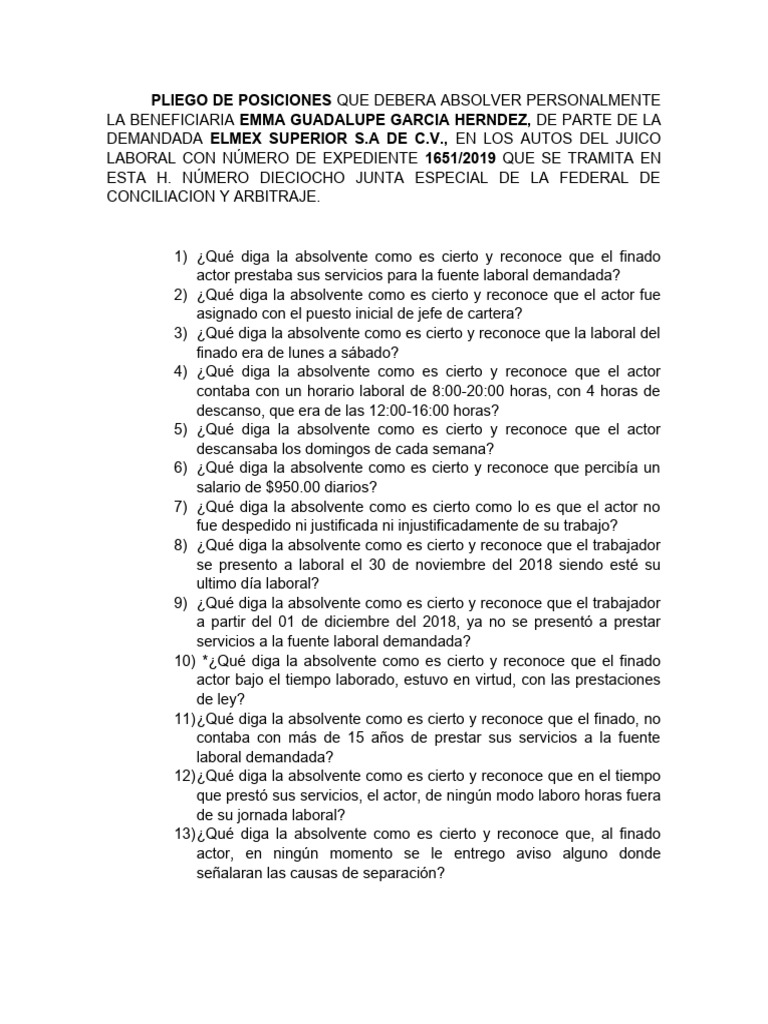 Exp 1651 2019 Pliego de Posiciones | PDF