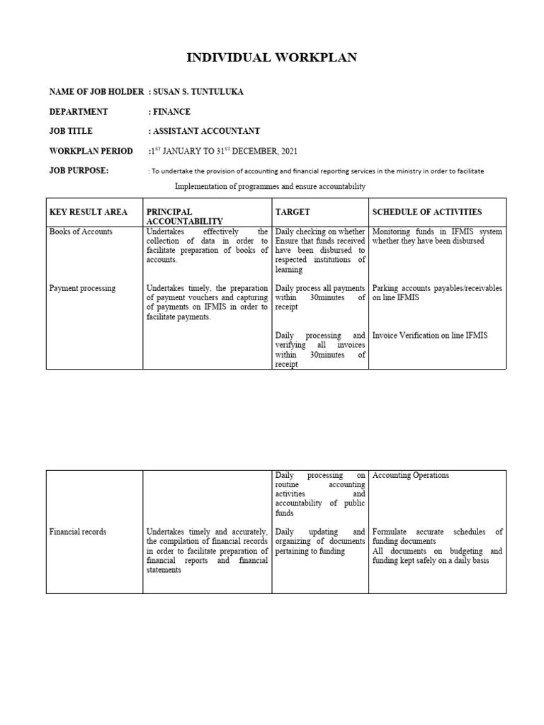 Template For Individual Annual Workplan | PDF | Accounts Payable | Financial Services
