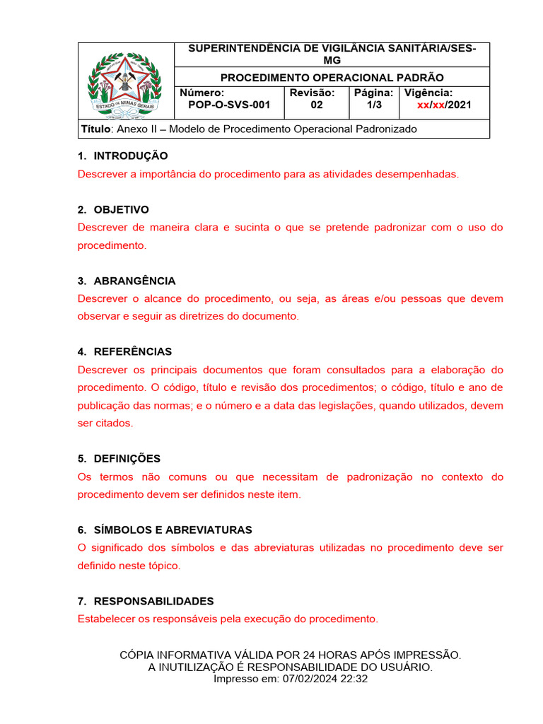 Anexo II - Modelo de Procedimento Operacional Padronizado | PDF | Informática