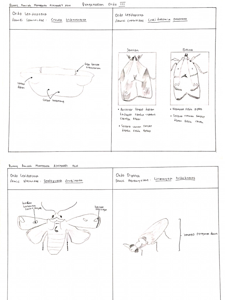 PR12-Runny Amirah Manggala-A24190087 | PDF