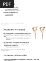 Apófisis Coracoides | PDF | Hombro | Extremidades (anatomía)
