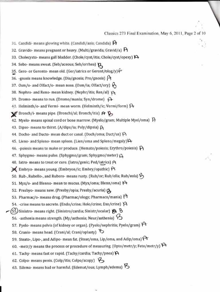 Understanding Myelo Medical Prefix | PDF