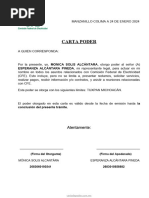 CARTA PODER en Blanco | PDF