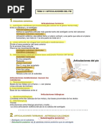 Ligamentos del Pie: Estructura y Función | PDF | Pie | Anatomía del ...
