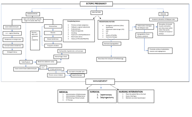 Pathophysiology of Ectopic Pregnancy | PDF | Gynaecology | Medicine
