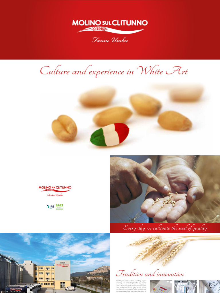 MSC - Brochure 2022 en - LR Def | PDF | Breads | Flour