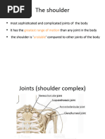 Grashey Method for Shoulder Imaging | PDF | Shoulder | Musculoskeletal ...