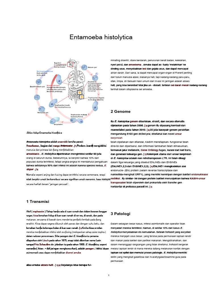 Entamoeba Histolytica - En.id PDF | PDF