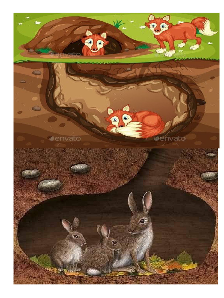 Hibernarea Animalelor Salbatice | PDF