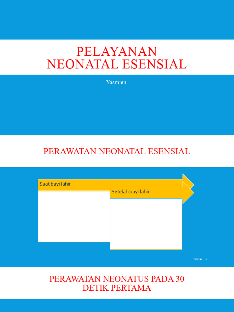 Pelayanan Neonatal Esensial | PDF