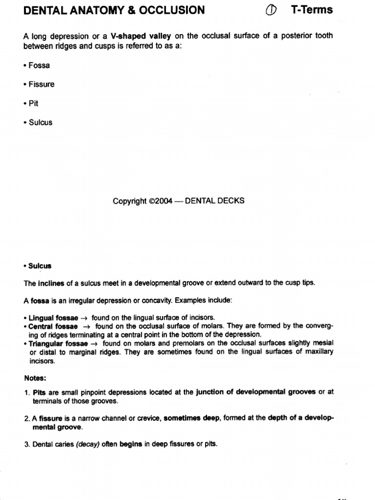 Dental Anatomy Decks | PDF
