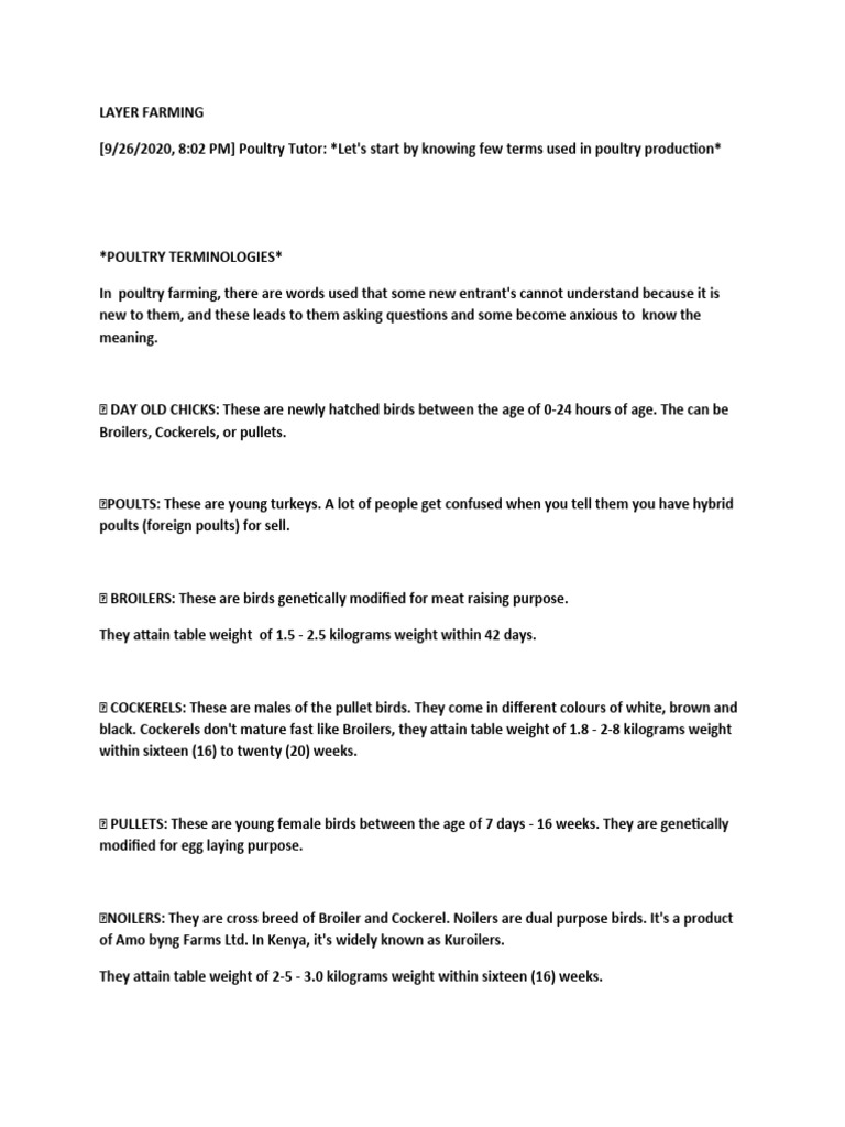 Layer Farming Pdf Chicken Poultry Farming